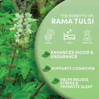 flavourful holy basil herbal infusion