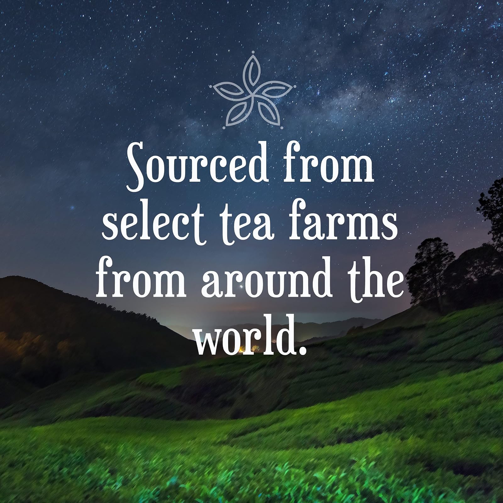 Flavourful lemon hibiscus tea experience