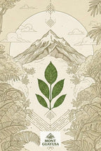 flavourful loose leaf Ecuador tea