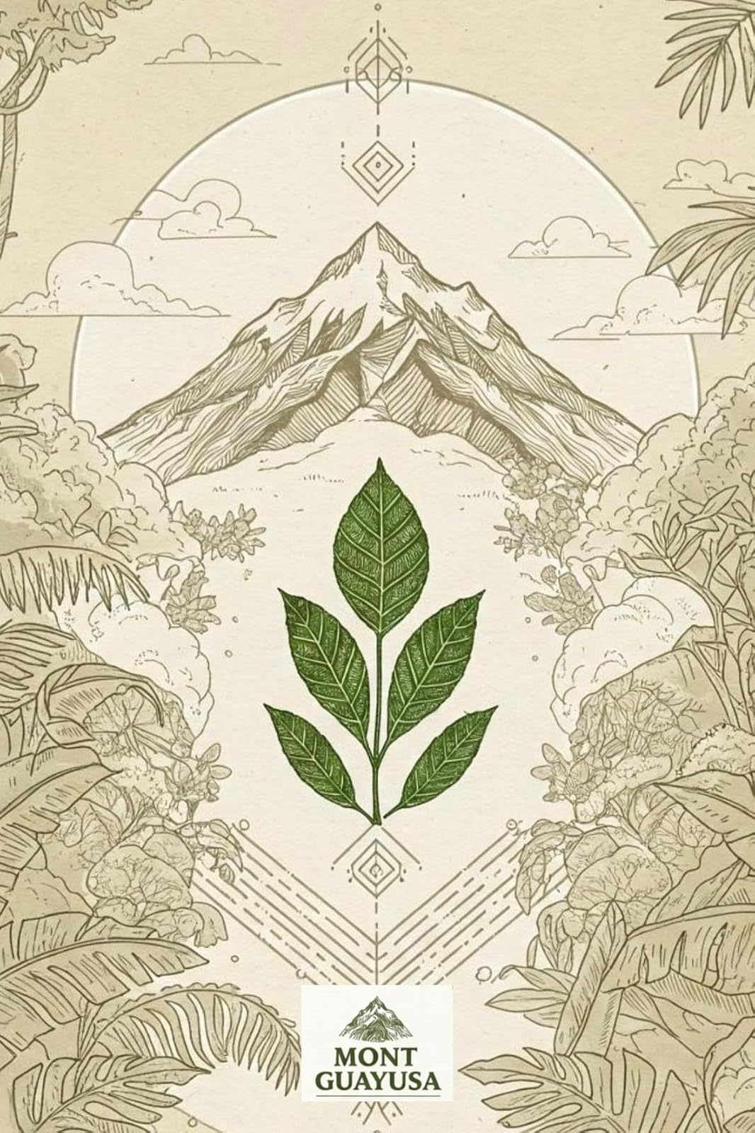 flavourful loose leaf Ecuador tea