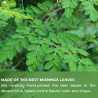 flavourful moringa herbal tea bags