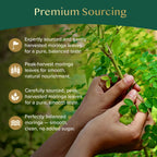 flavourful Moringa tea for health
