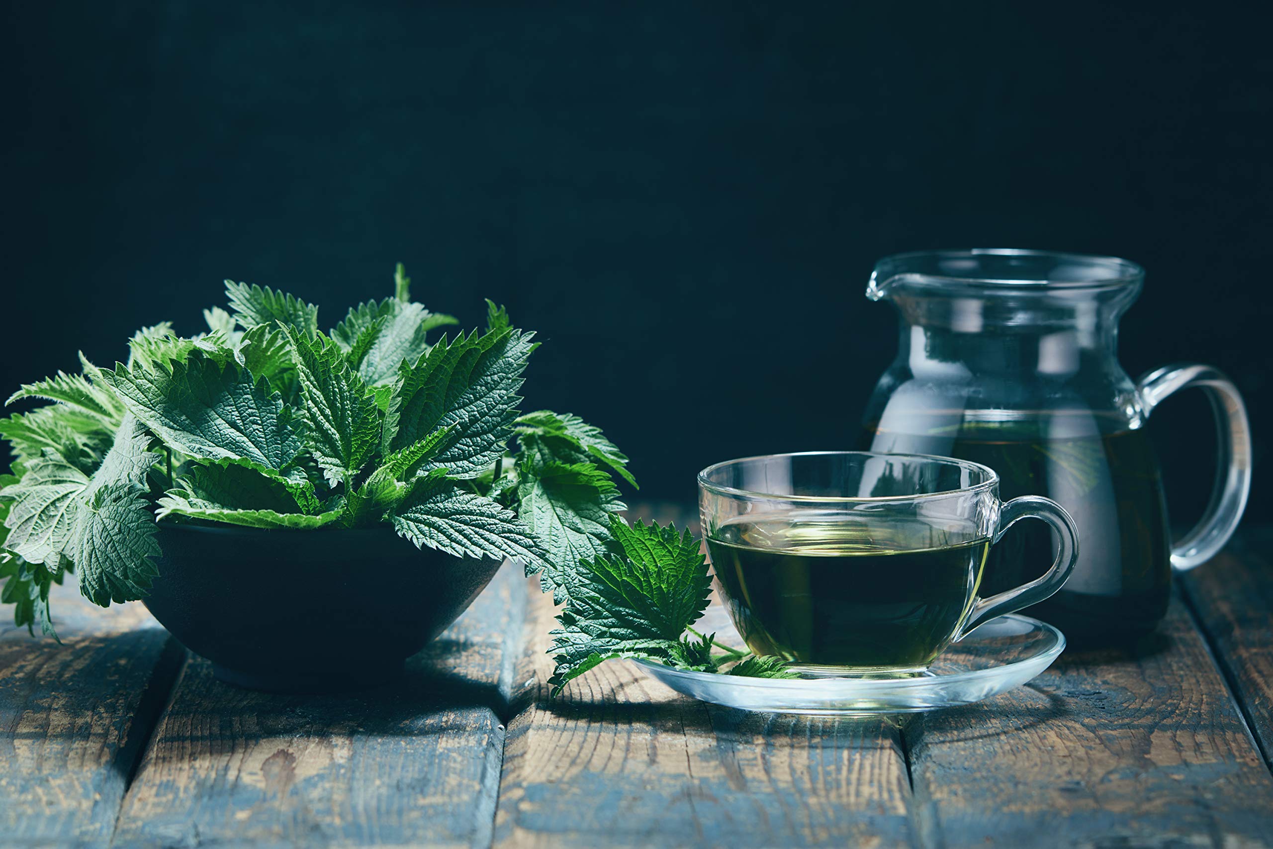 flavourful nettle tea for brewing