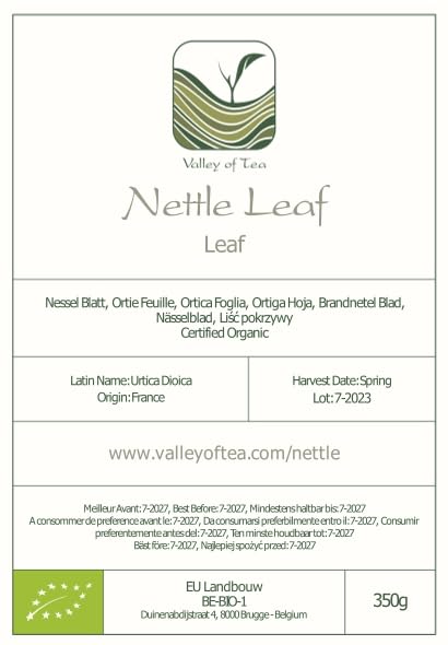 flavourful nettle tea for health