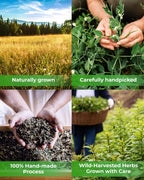 flavourful rosemary tea experience