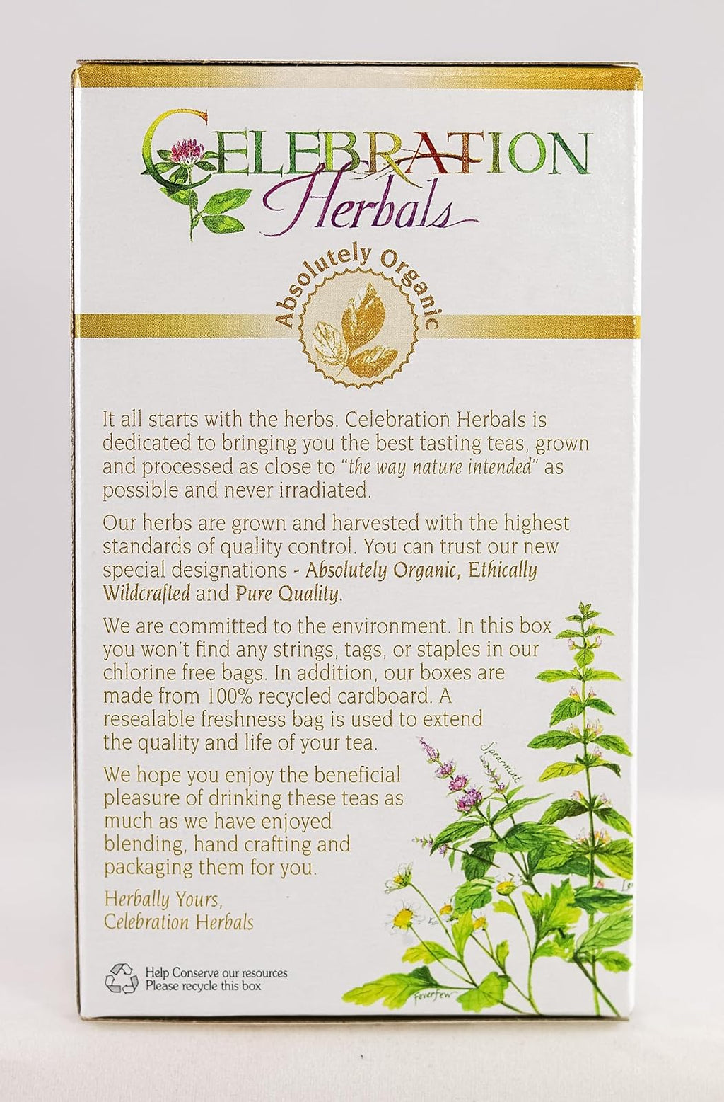 flavourful sage leaf tea experience