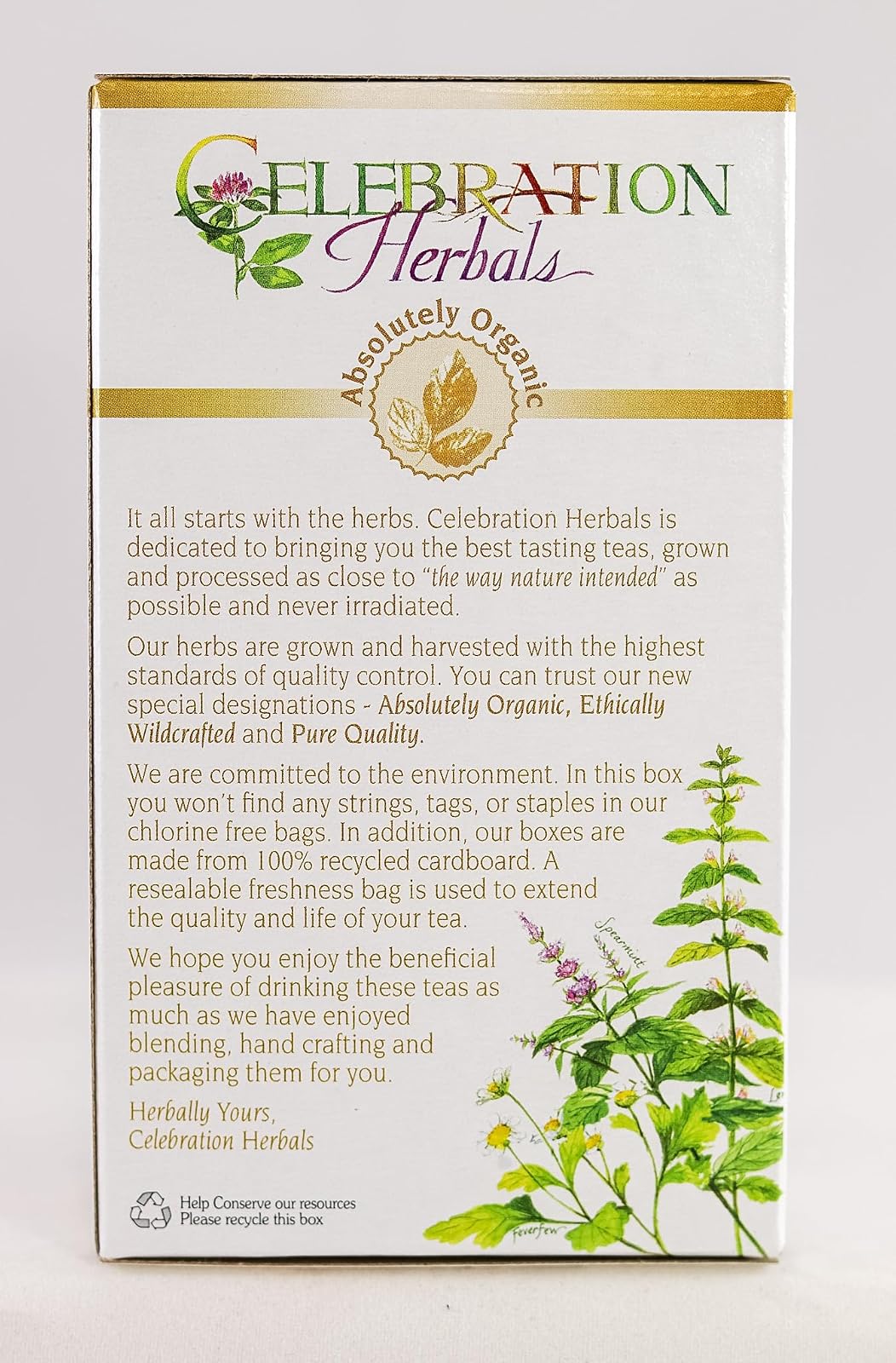 flavourful sage leaf tea experience