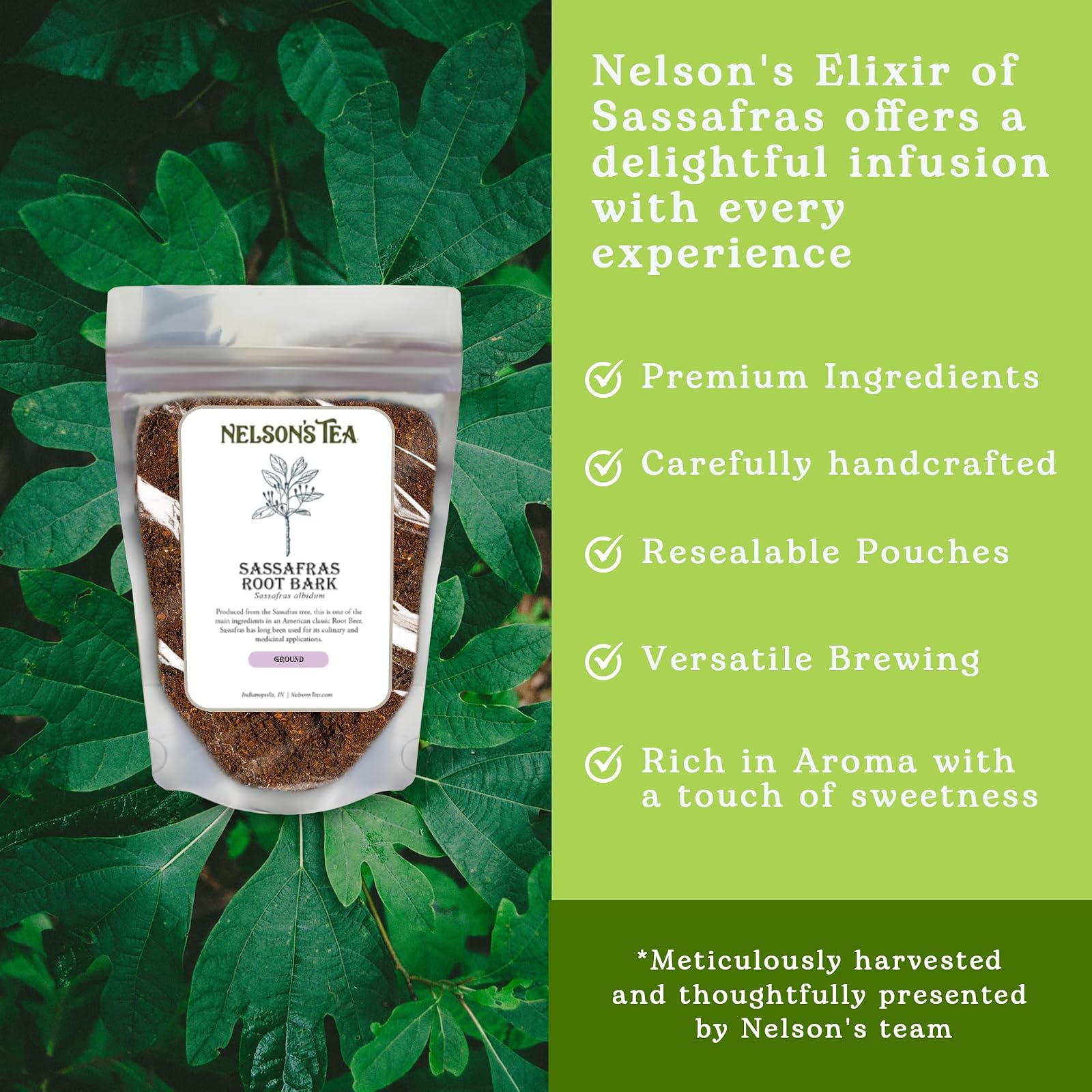 flavourful sassafras root herbal blend