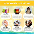 flavourful sea moss gel supplement