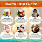 flavourful sea moss gel supplement