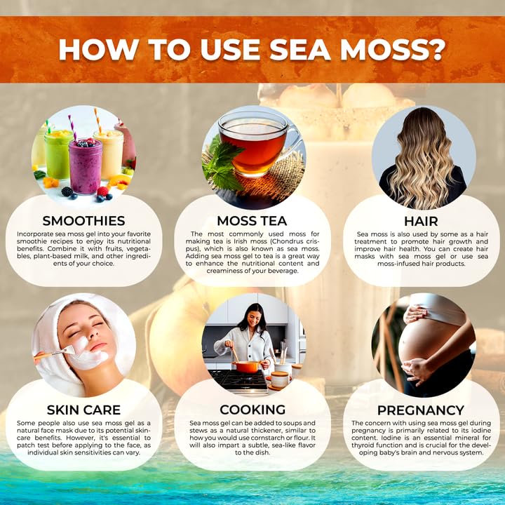 flavourful sea moss gel supplement