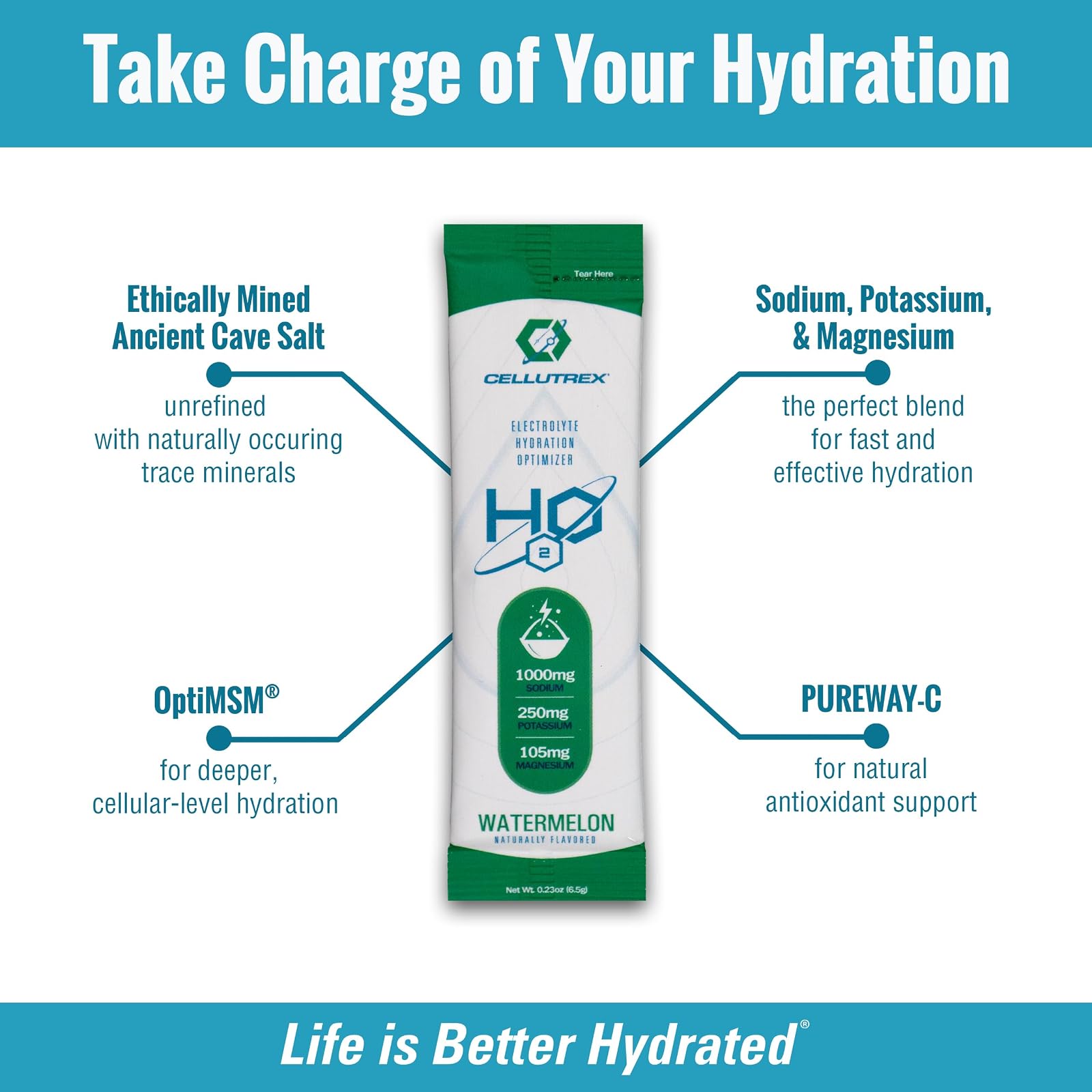 flavourful sports electrolyte powder