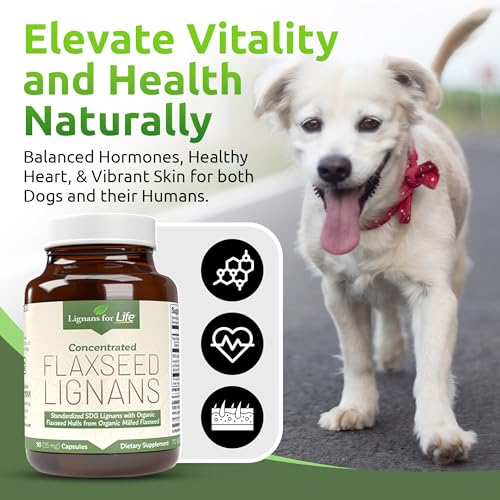 flaxseed for dogs with digestive issues