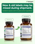 flaxseed oil for daily nutrition