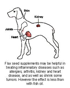 flaxseed oil with vitamin E