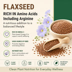 flaxseed protein for muscle recovery