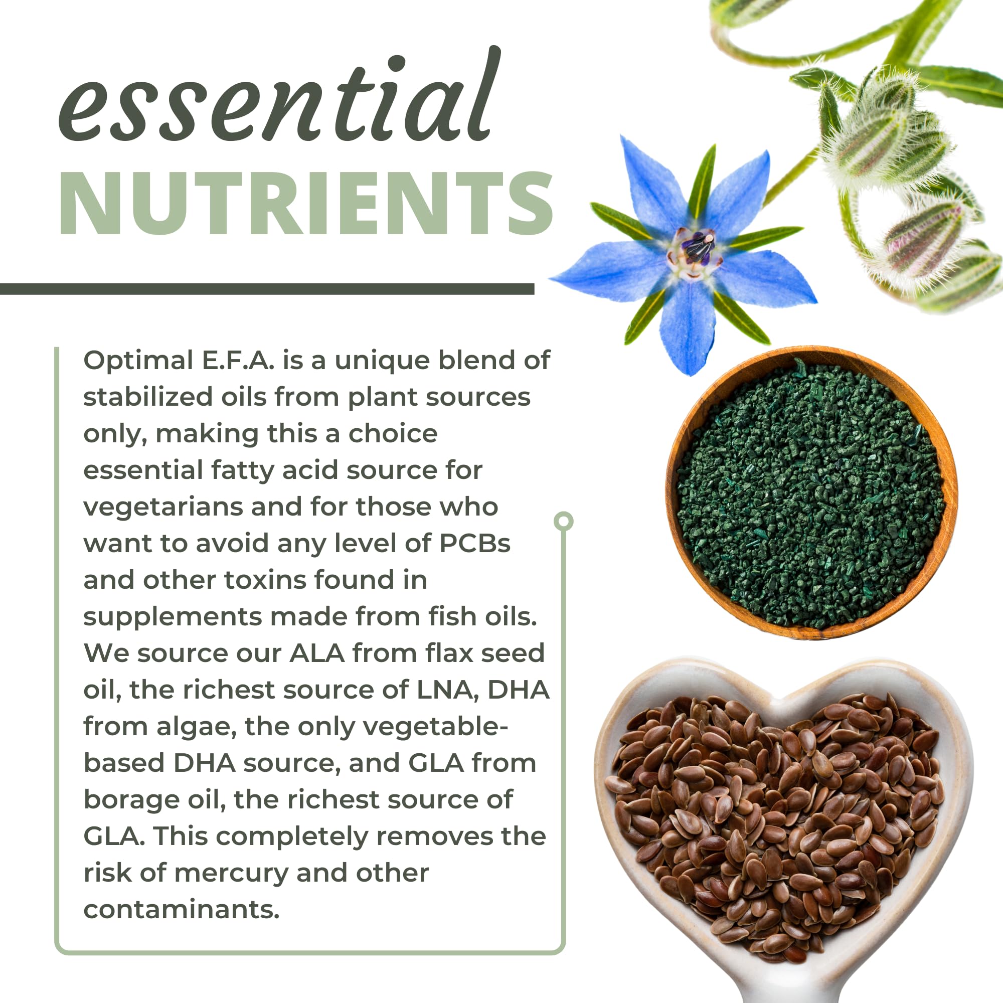 flaxseed supplement for daily nutrition