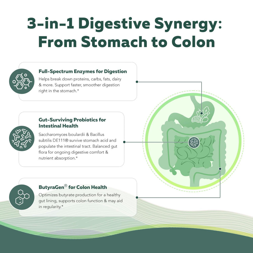 Flora digestive enzymes support digestive comfort