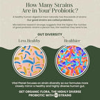 Flora probiotics for immune system boost