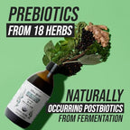 Flora probiotics for men wellness