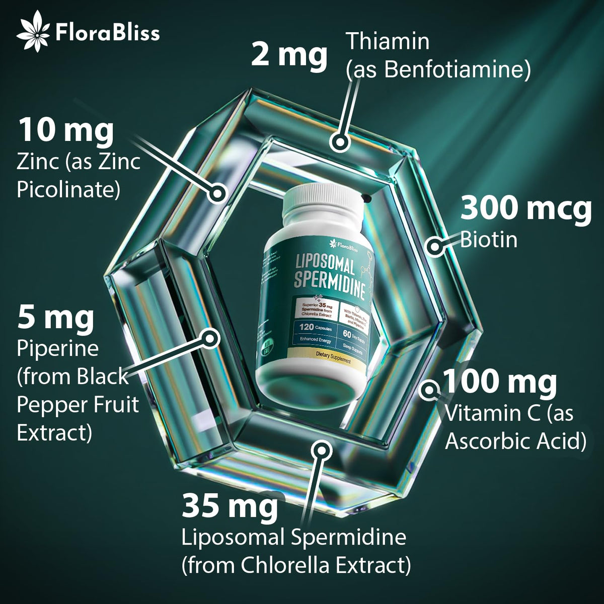 FloraBliss spermidine antioxidant support