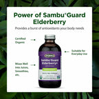 FloraHealth elderberry syrup in glass bottle