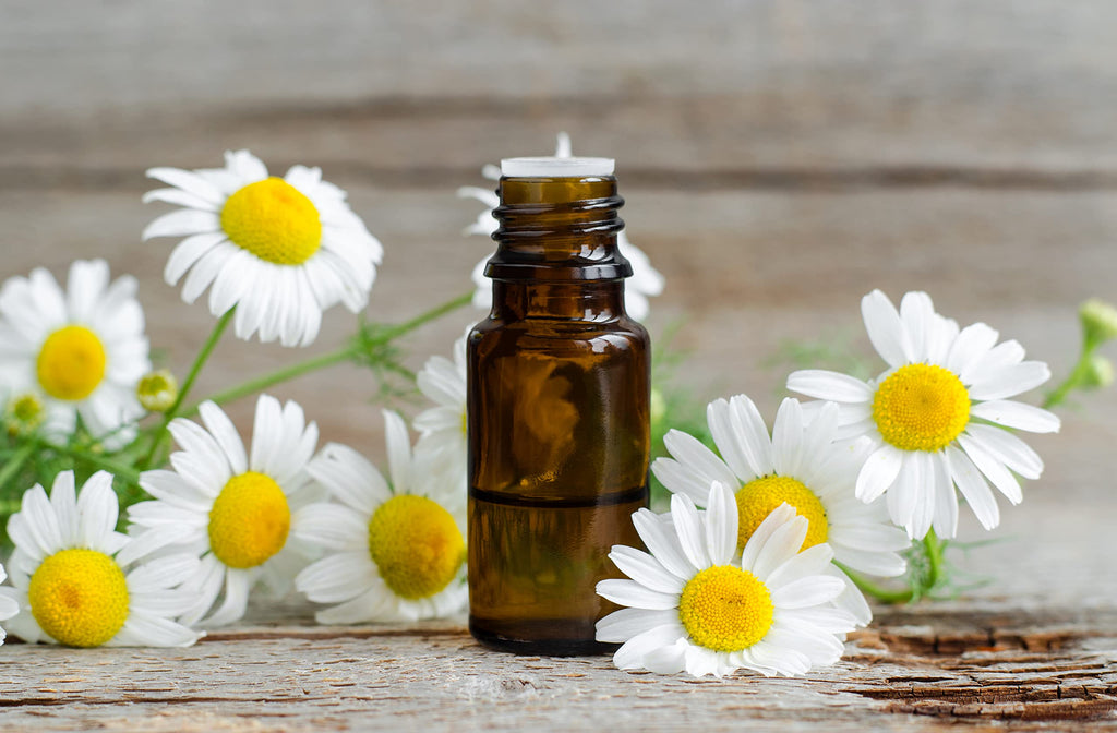 floral aroma chamomile tea
