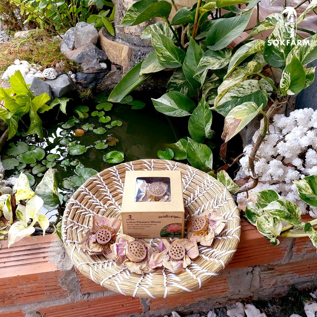 Floral aroma herbal tea infusion