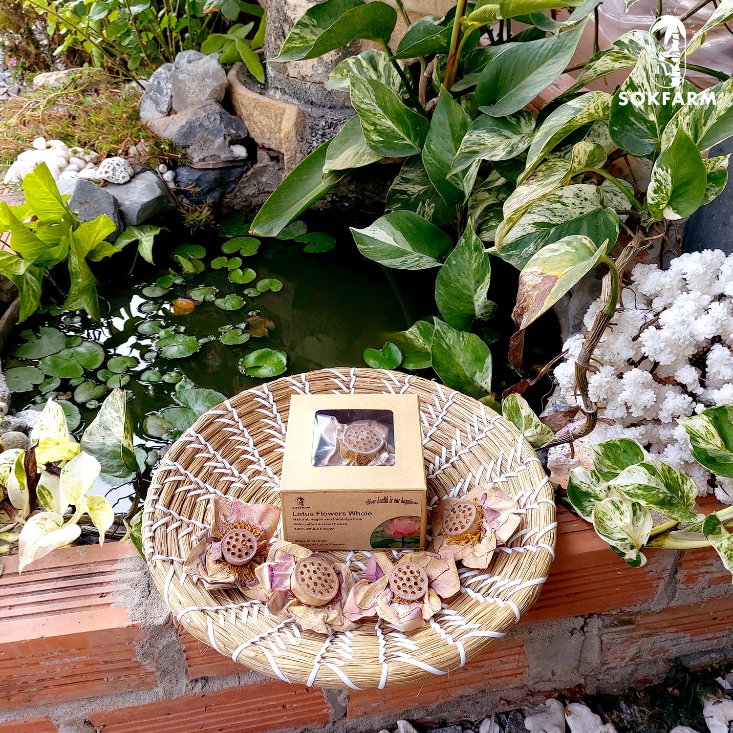 Floral aroma herbal tea infusion