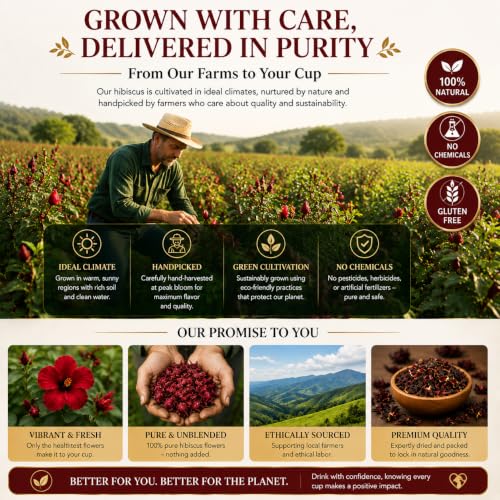 floral flavor hibiscus tea blend