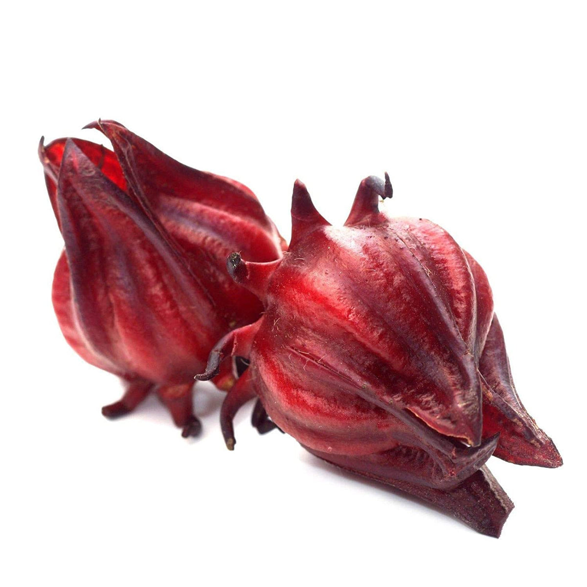 floral flavour hibiscus tea bags