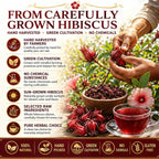 floral flavour hibiscus tea bags