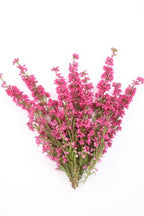 floral herbal detox tea blend