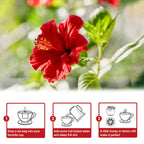 floral herbal tea for wellness