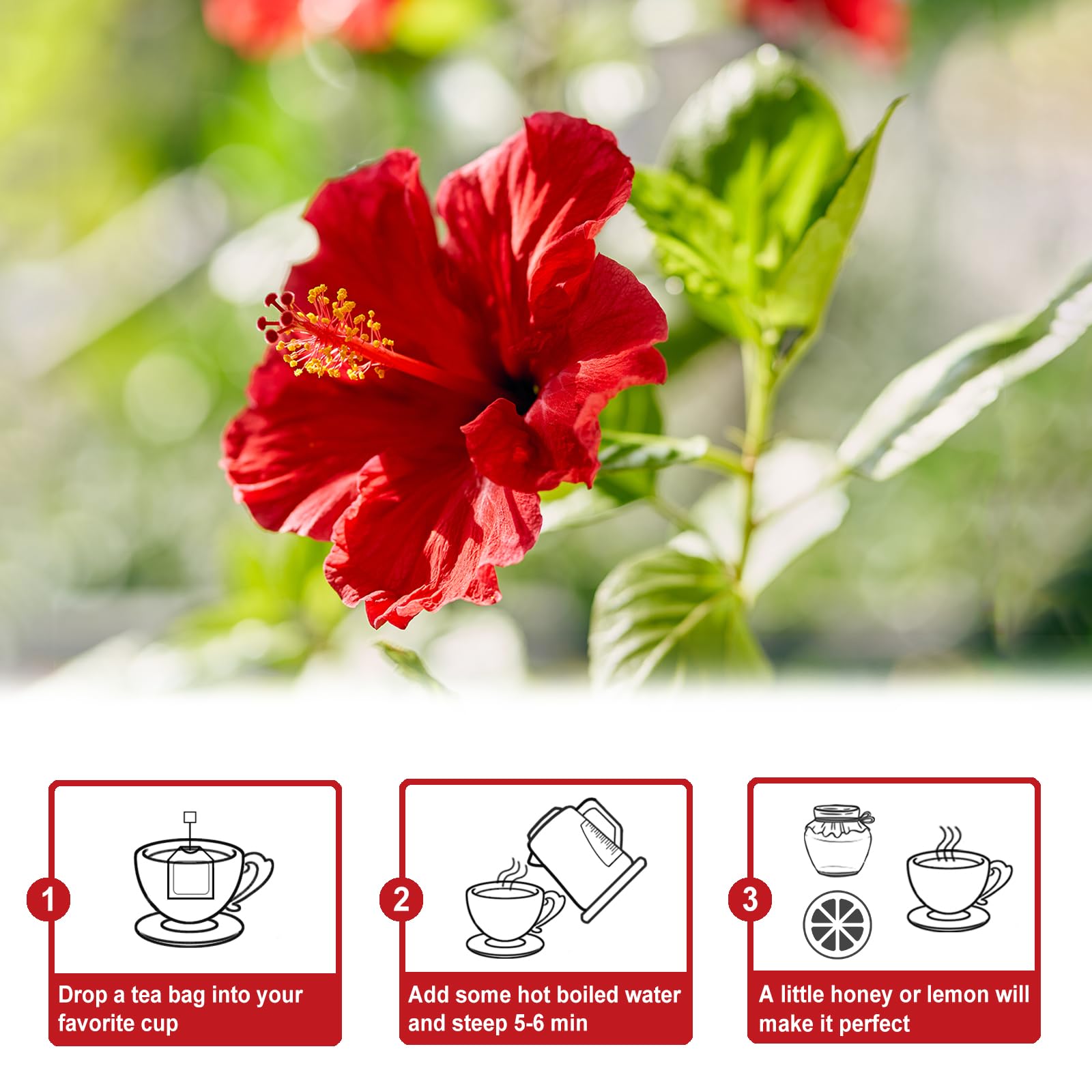 floral herbal tea for wellness