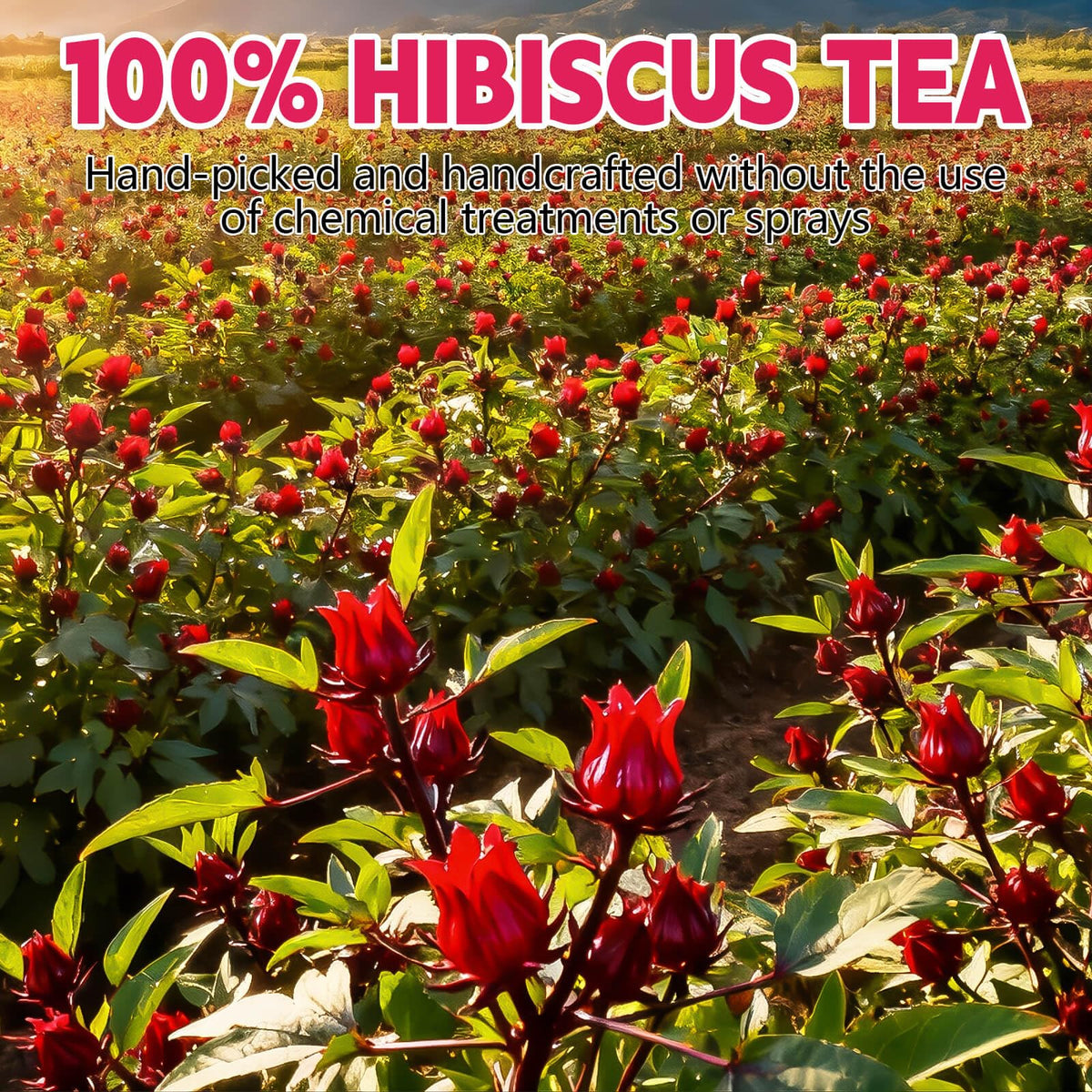 Floral hibiscus tea bags for soothing