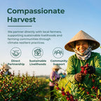 floral taste hibiscus tea experience