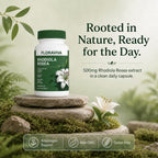Floraviva rhodiola for enhanced focus