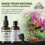 FLORIDA HERBS astragalus extract
