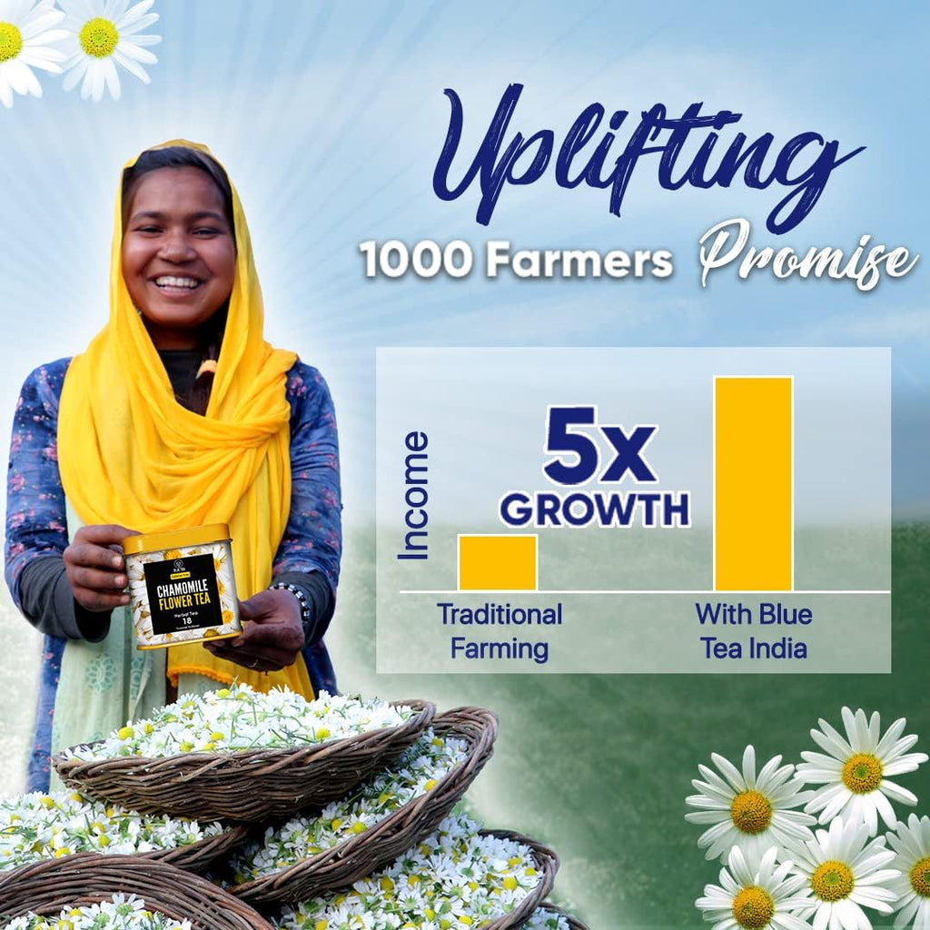 flower tea combo for unique flavours