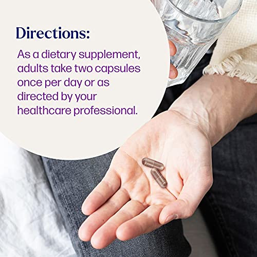 Fluent elderberry for better health