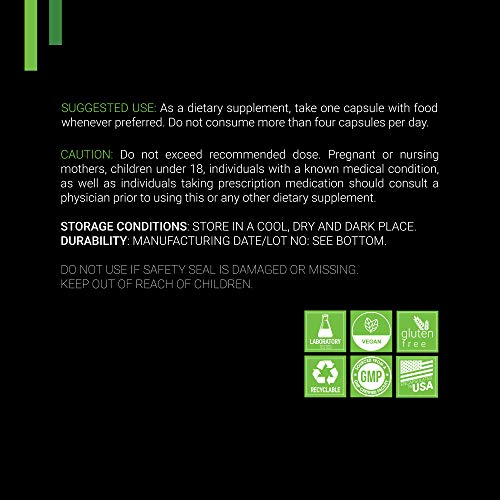 focus and alertness supplement