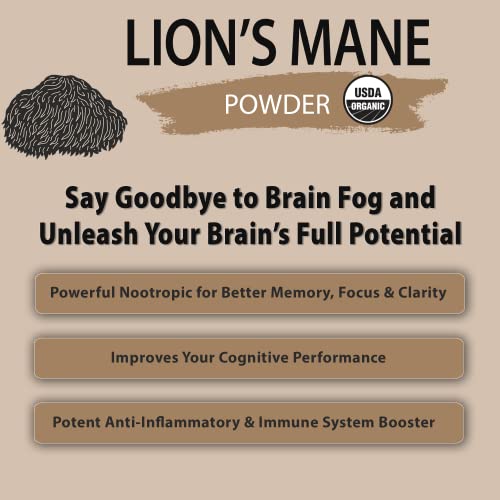 focus and clarity from mushroom powder