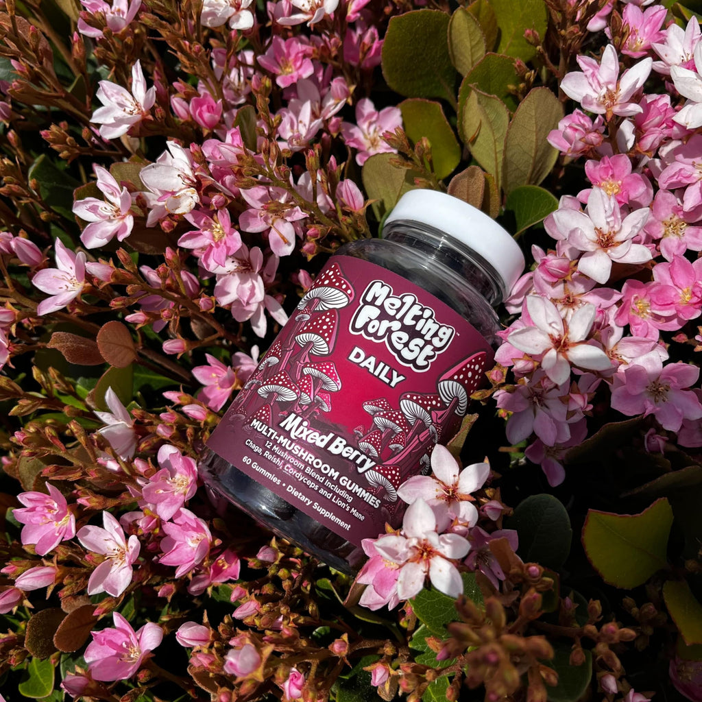 focus and clarity mushroom blend