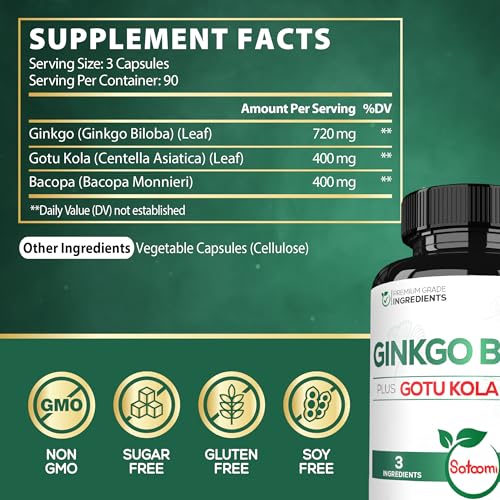 focus and clarity with ginkgo biloba