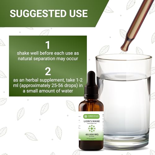 Focus and clarity with Lion's Mane