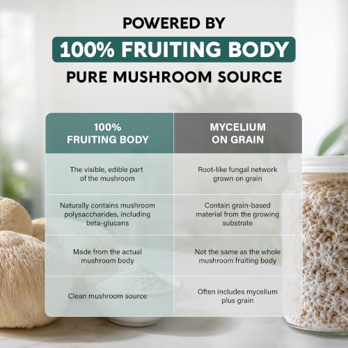 Focus and clarity with Lion's Mane