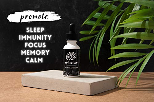 Focus and clarity with Lion's Mane