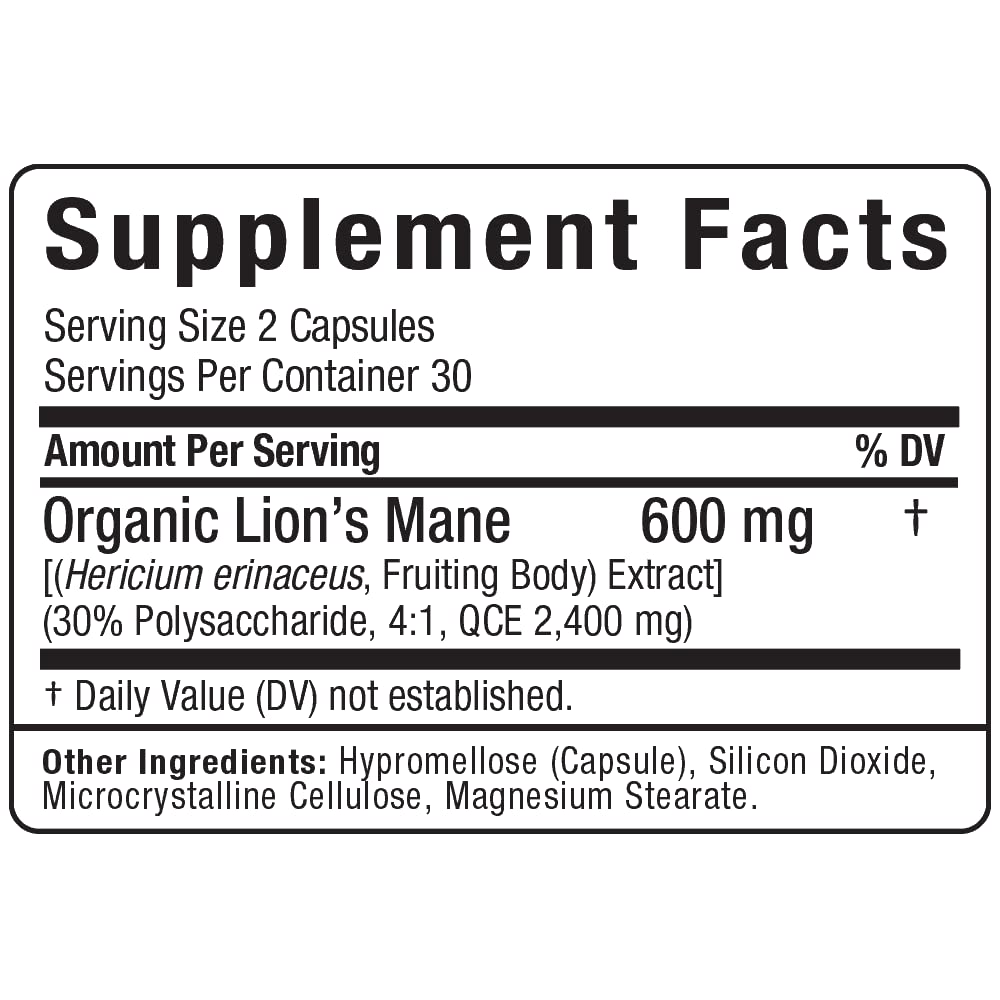 focus and clarity with Lion's Mane