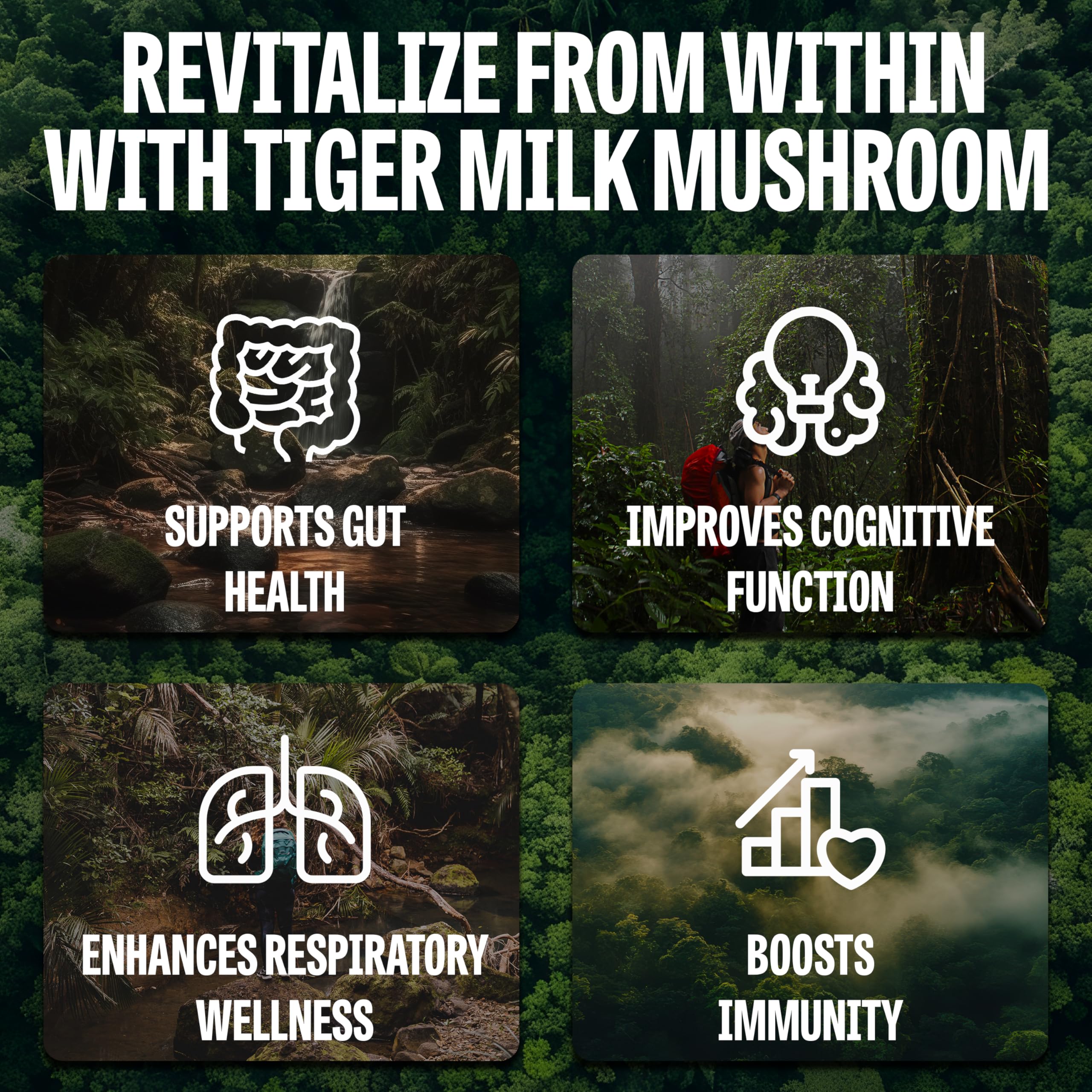 focus and clarity with mushrooms